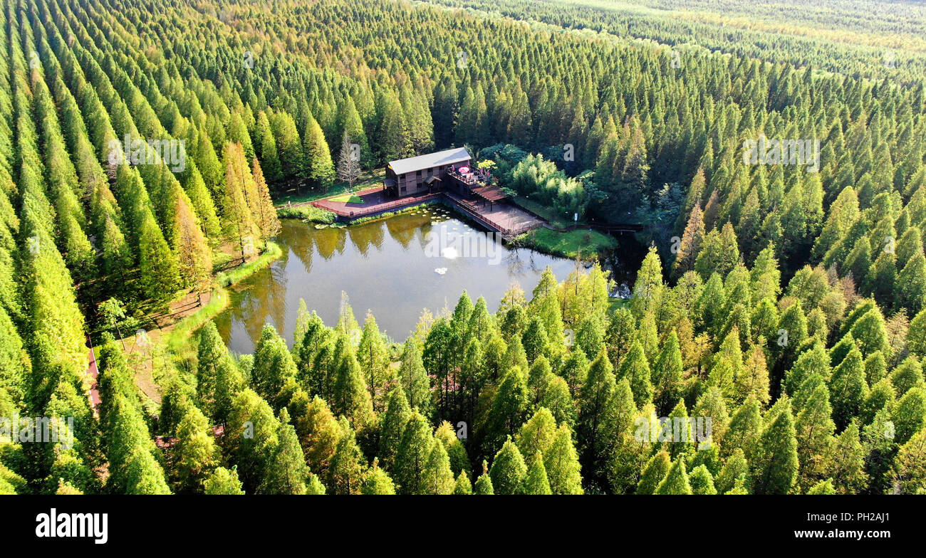 Yancheng, Yancheng, China. 30th Aug, 2018. Yancheng, CHINA-Aerial ...
