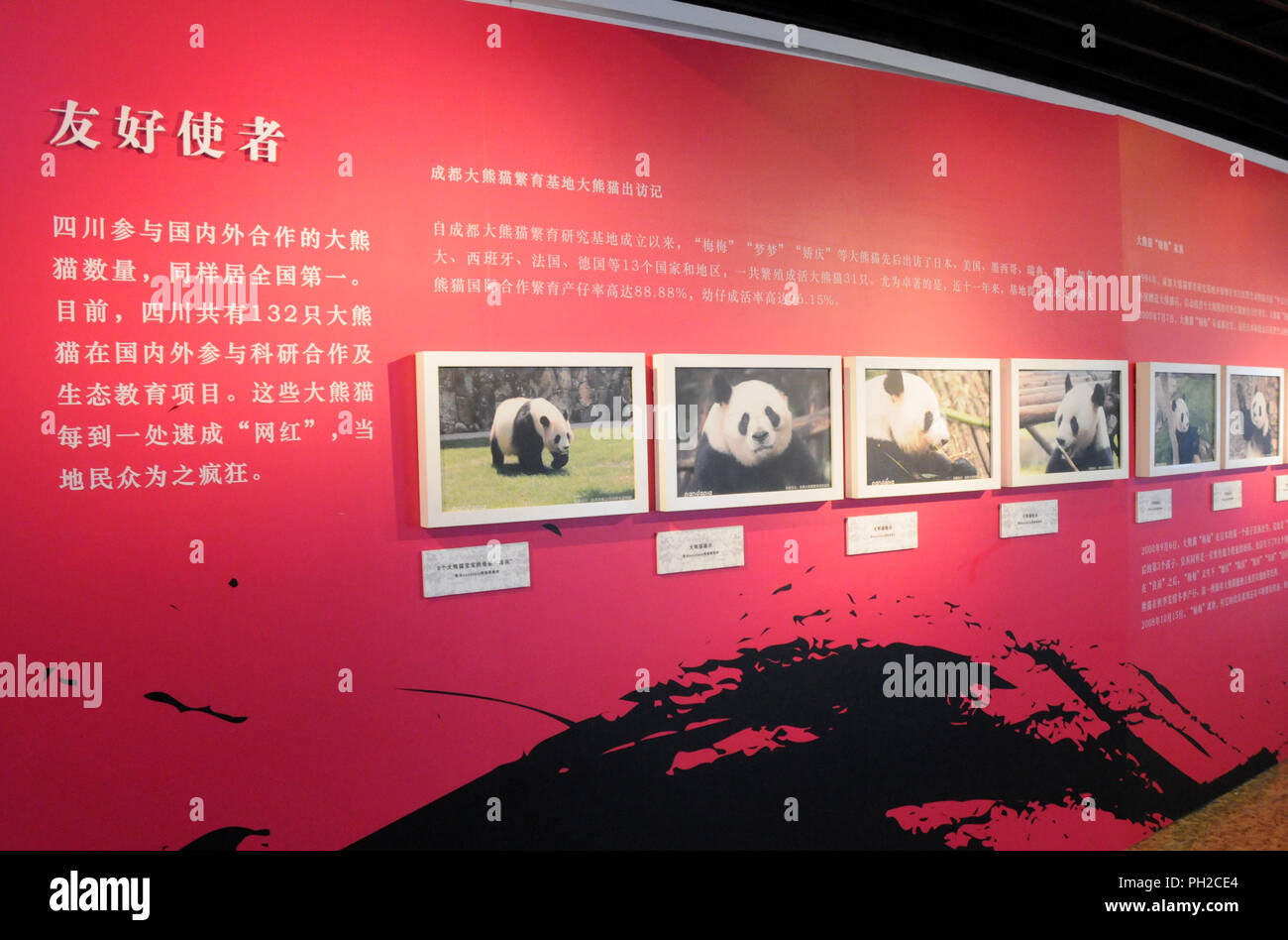 Beijing, Beijing, China. 30th Aug, 2018. Beijing, CHINA-The first China ...