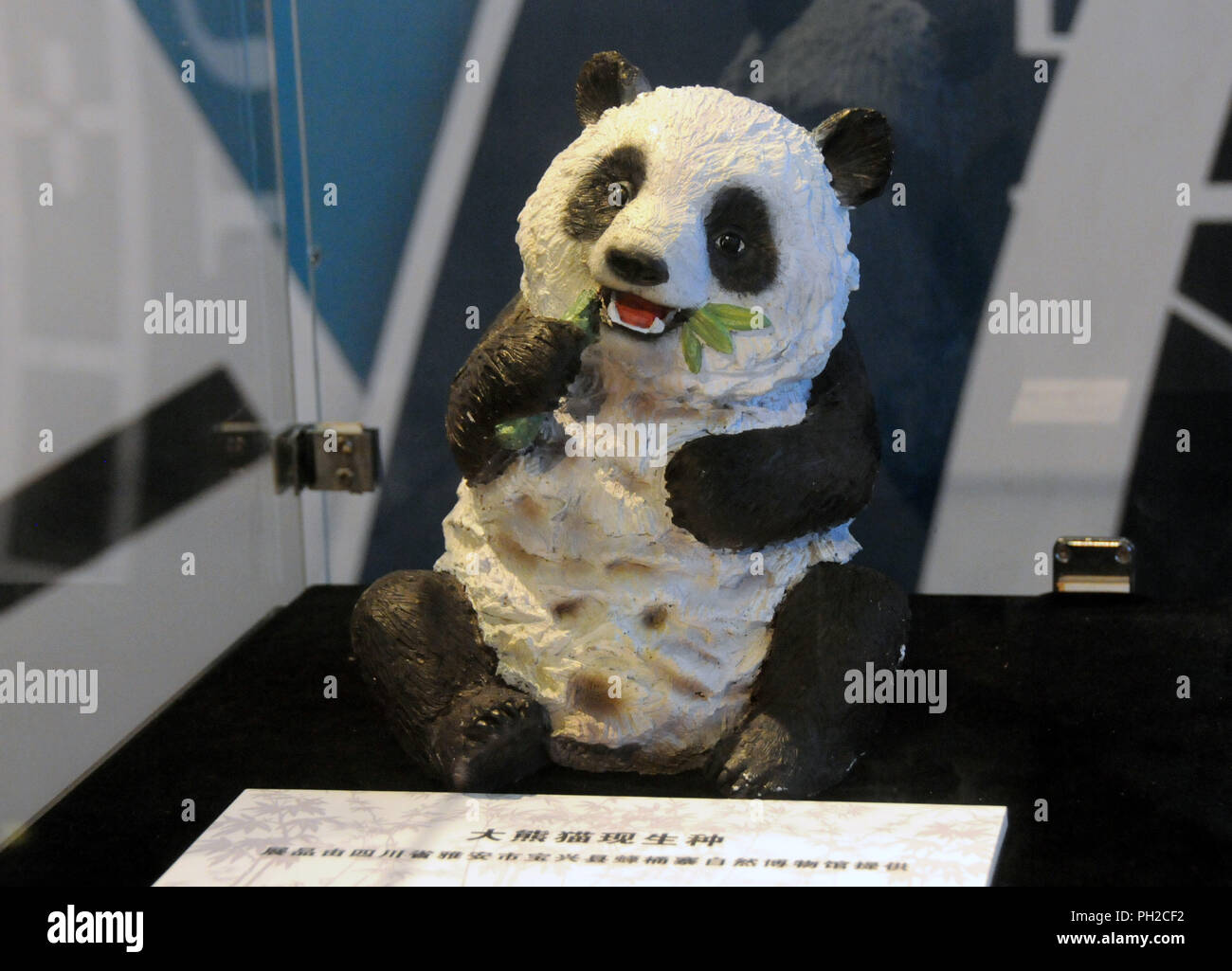 Beijing, Beijing, China. 30th Aug, 2018. Beijing, CHINA-The first China ...