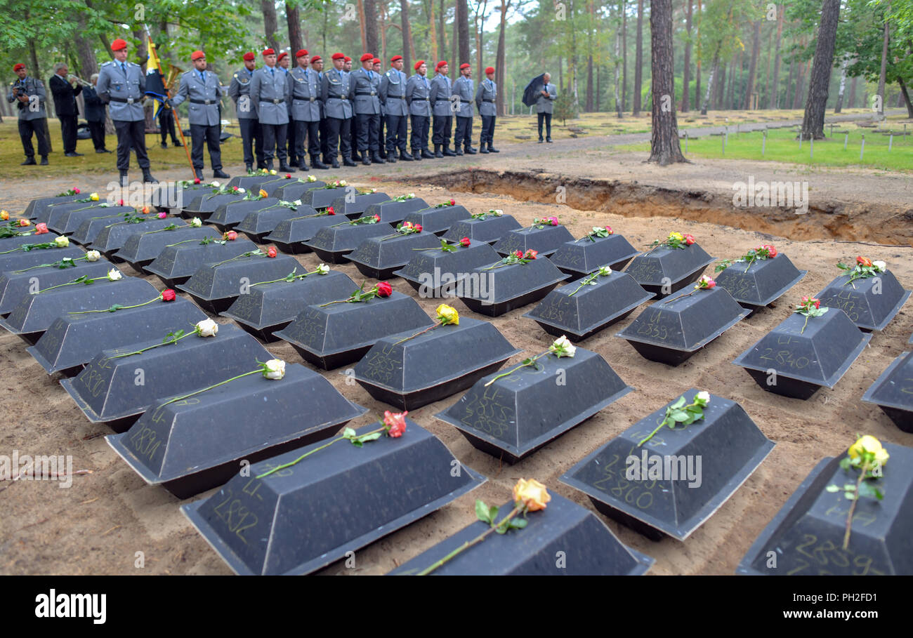 Halbe forest cemetery hi-res stock photography and images - Alamy