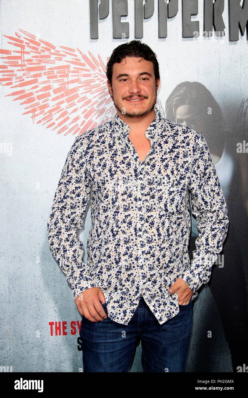 Los Angeles, CA, USA. 28th Aug, 2018. Sean Rosales at arrivals for ...