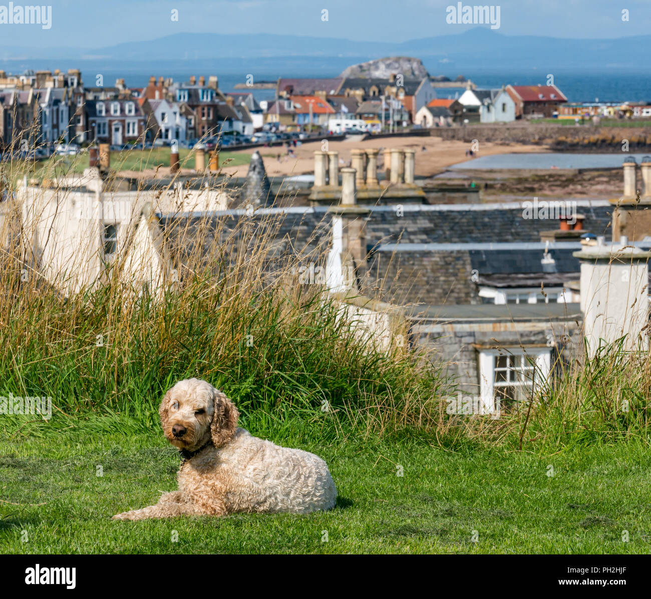 North Berwick, East Lothian, Scotland, UK, 30th August 2018. UK weather ...