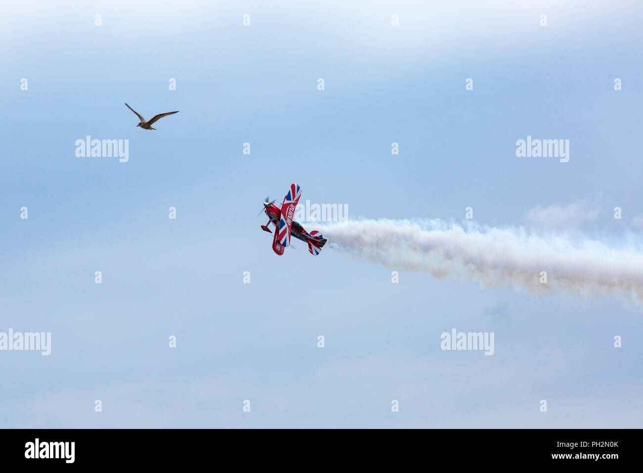 Super pitts muscle plane hi-res stock photography and images - Alamy