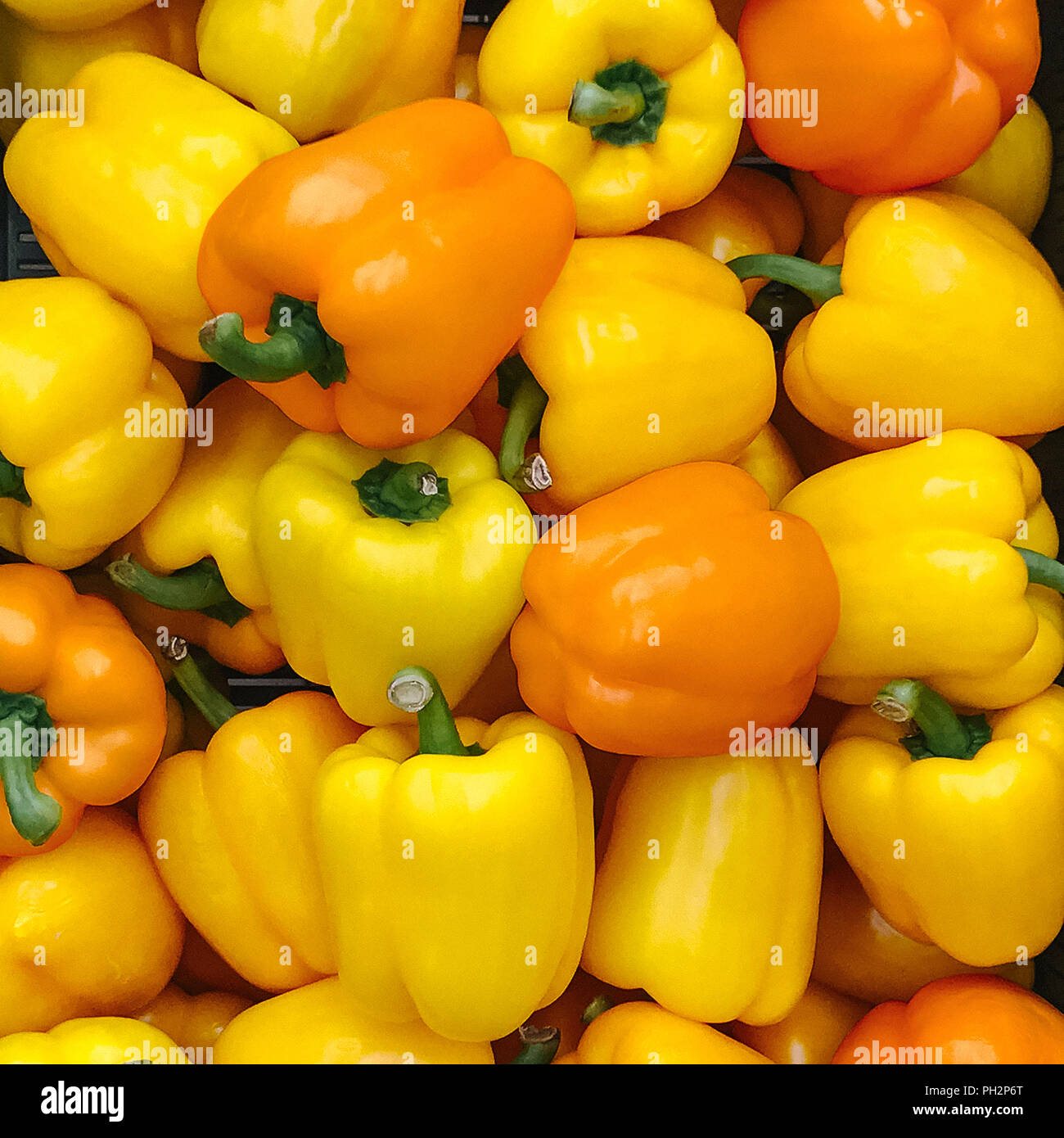 Pattern with fresh yellow peppers on the market counter Close-up photo ...