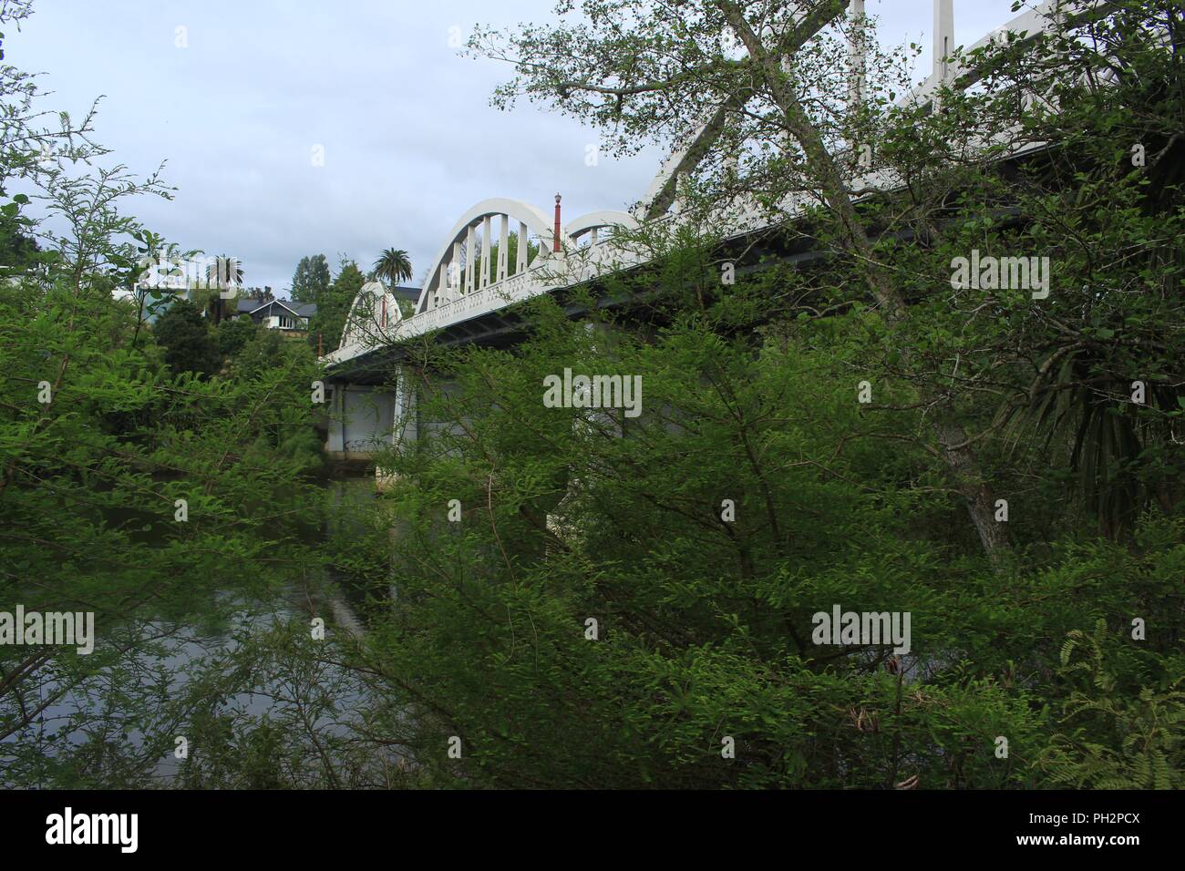 Low-angle view of Fairfield Bridge, an iconic road bride in Hamilton ...
