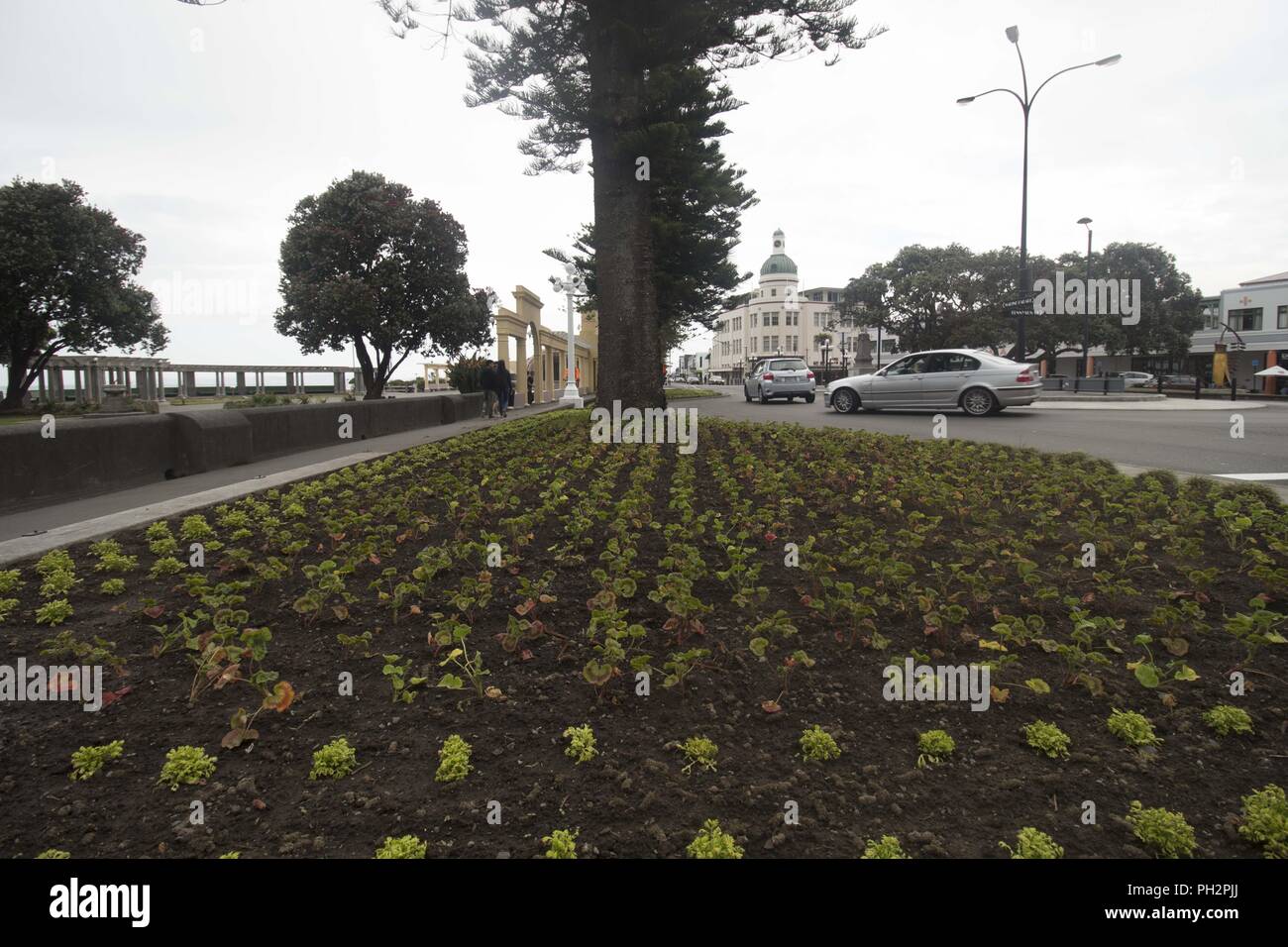 Napier down hi-res stock photography and images - Alamy