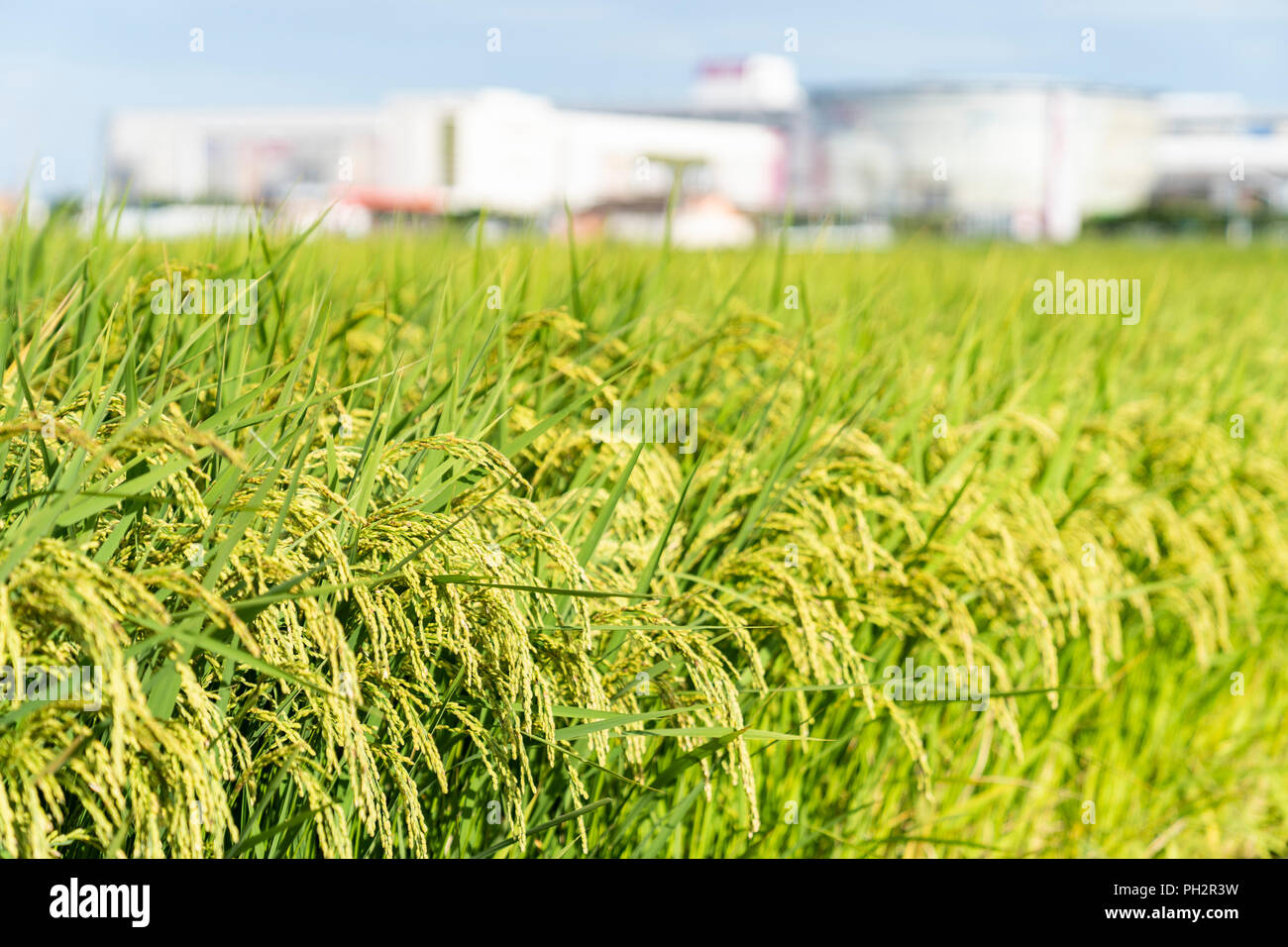 AEON MALL MITO UCHIHARA, Mito City, Ibaraki Prefecture, Japan Stock ...