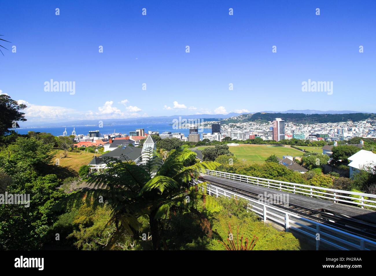 Aerial view of the urban skyline of Wellington, New Zealand from the ...