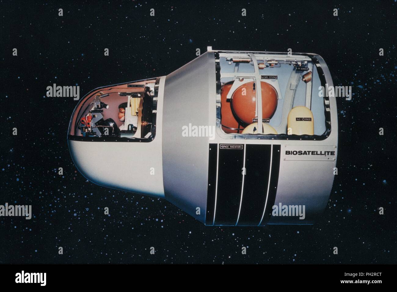 Monkeys In Space Nasa