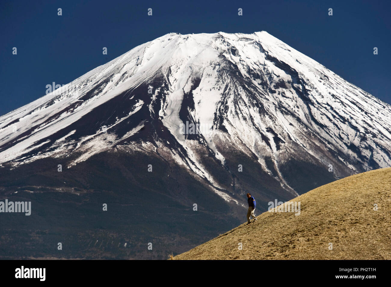 A man walks down a small mound near Mt Fuji located along a walk that ...