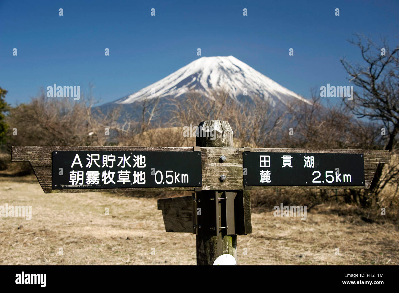 Mount fuji behind hi-res stock photography and images - Alamy