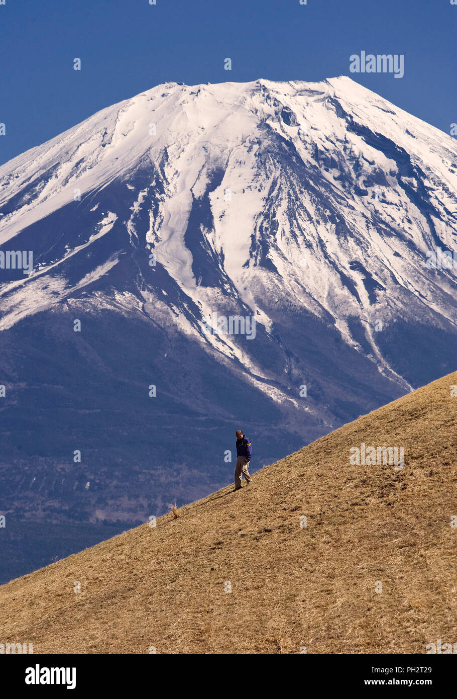 A man walks down a small mound near Mt Fuji located along a walk that ...