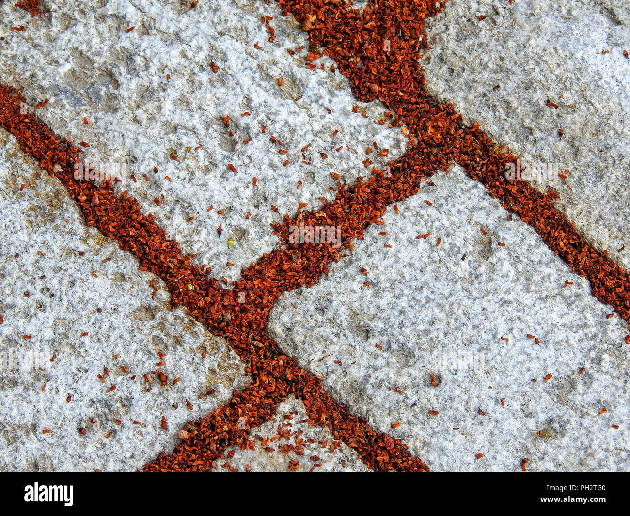 Small seeds hi-res stock photography and images - Alamy