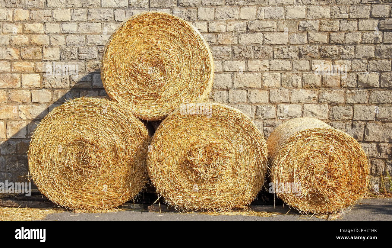 Golden hay bale details Stock Photo - Alamy