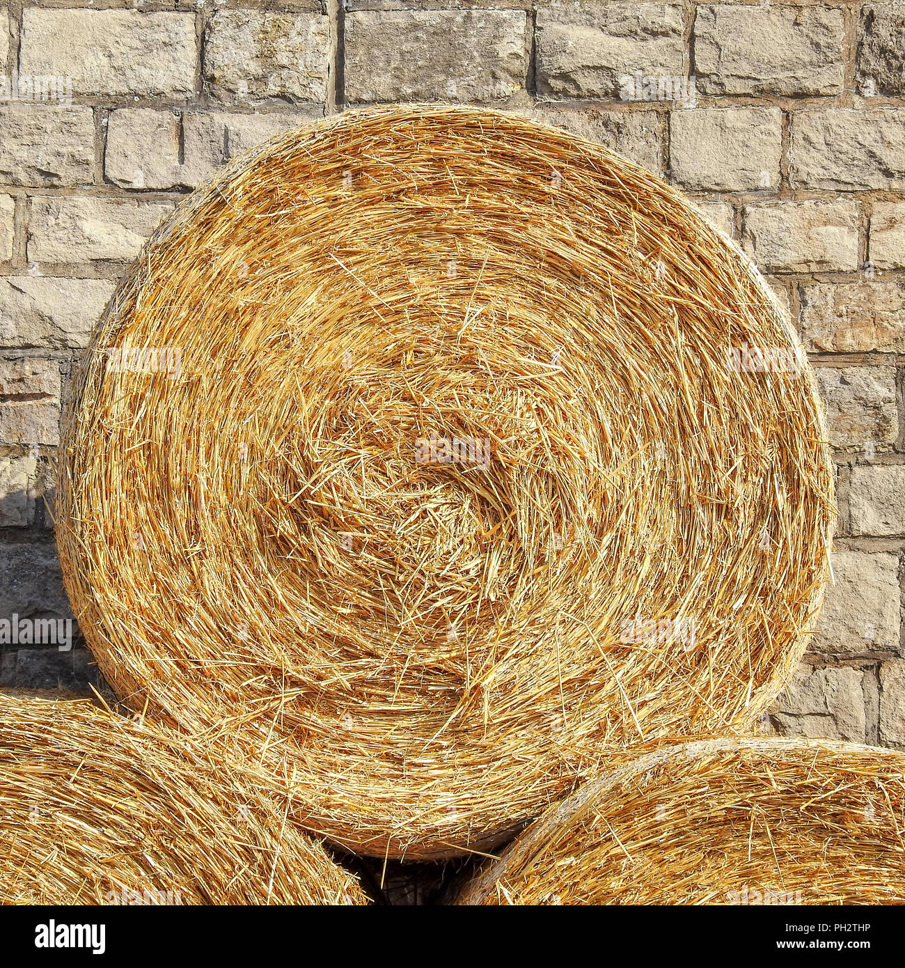 Hay bale in field bavaria hi-res stock photography and images - Alamy