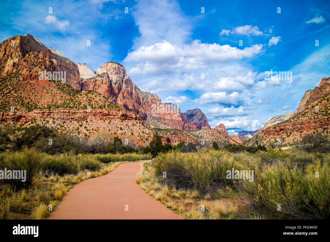 A forest trail with the sun shining through the foliage in Zion ...