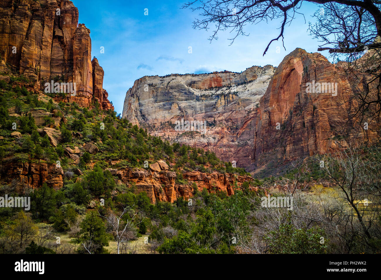 Mountain Ridges in Zion National Park, Utah Stock Photo - Alamy