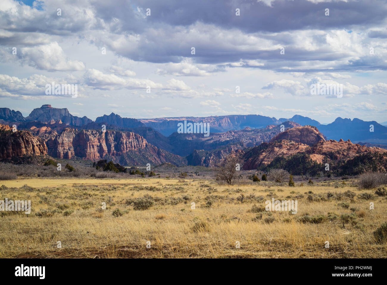 Mountain Ridges in Zion National Park, Utah Stock Photo - Alamy