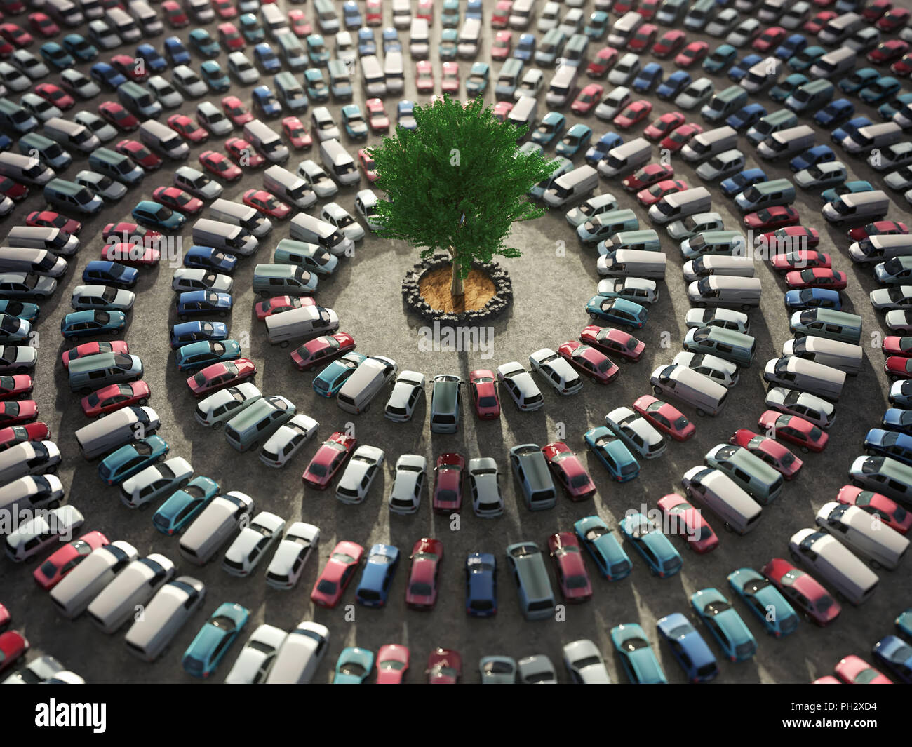 green tree surrounded by cars Stock Photo - Alamy