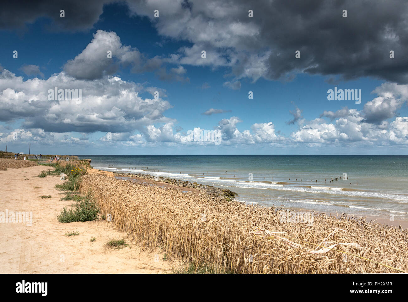 Happisburgh beach viewed from the clifftop, Norfolk, UK Stock Photo - Alamy