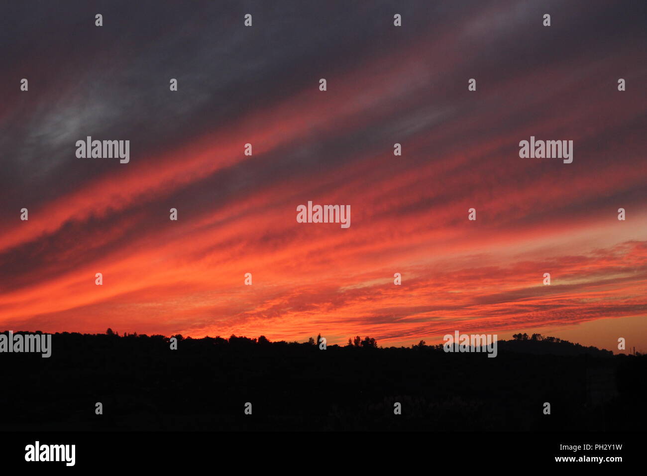Treeline silhouettes hi-res stock photography and images - Alamy