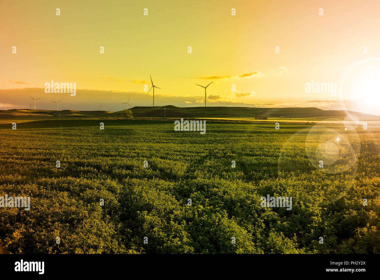 Electric wind turbines and green fields Stock Photo - Alamy