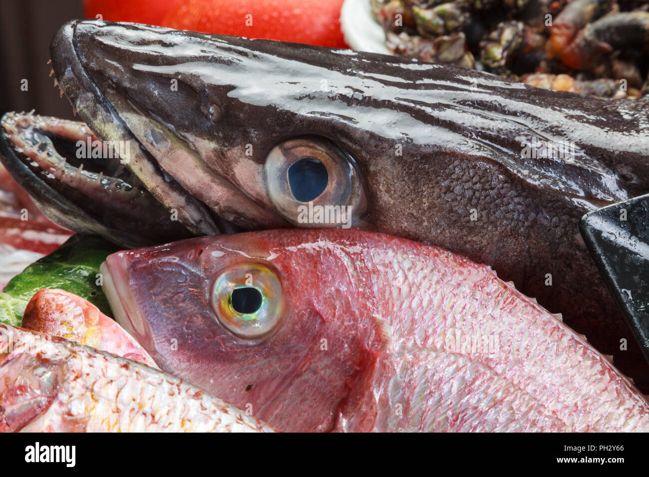 Fresh and raw fish, hake, red mullet and barnacles Stock Photo - Alamy