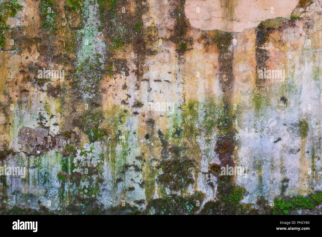 Verdigris texture hi-res stock photography and images - Alamy