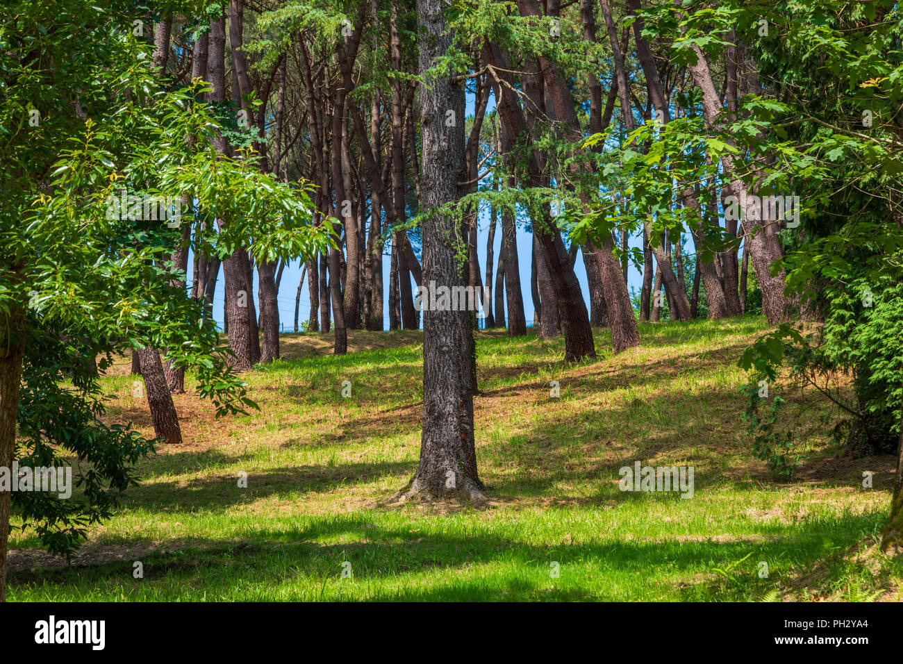 Lovely scenery hi-res stock photography and images - Alamy