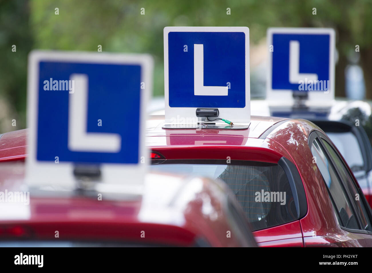 Driver license photo hi-res stock photography and images - Alamy