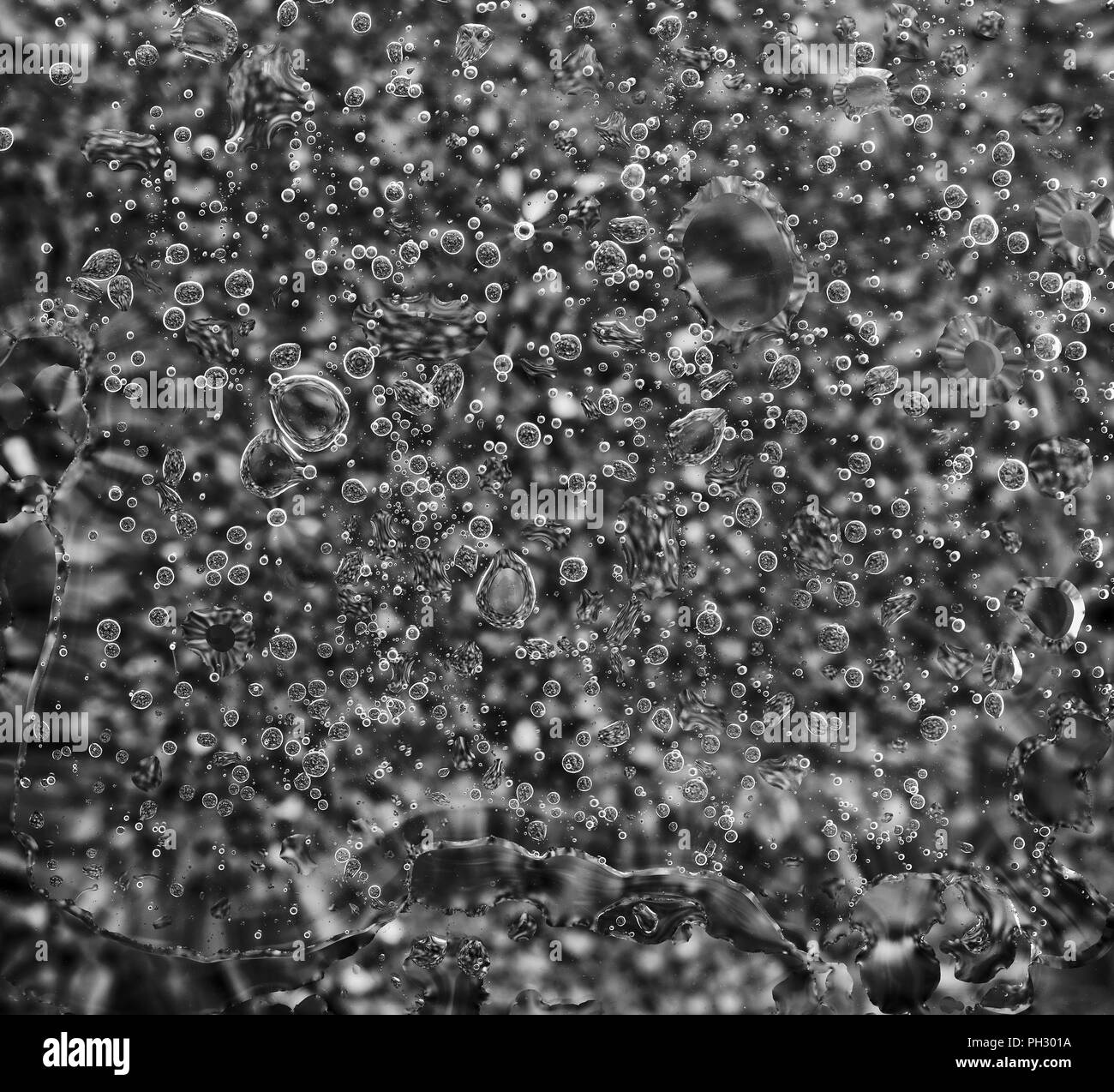 Black And White Macro Photography Water