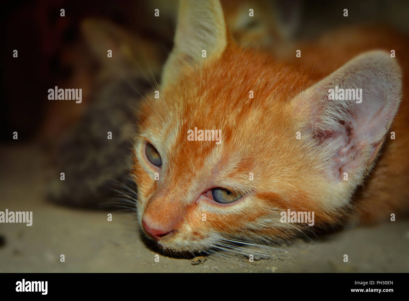 Look past camera hi-res stock photography and images - Alamy