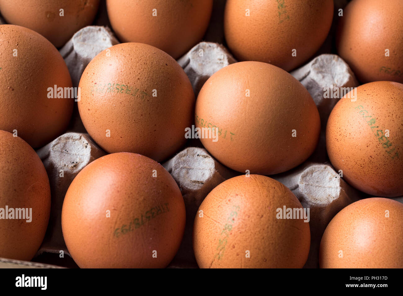 Marking Code Numbers Printed on Egg with Package / Container ...