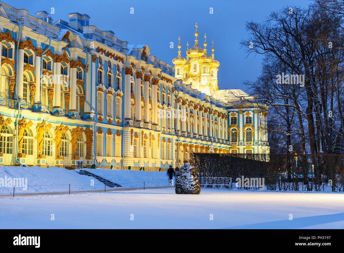 Catherine palace in Tsarskoe Selo at night in winter. Pushkin town ...