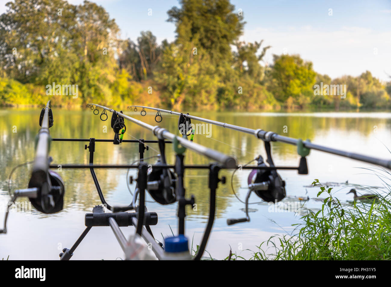 Carp fishing rods hi-res stock photography and images - Alamy