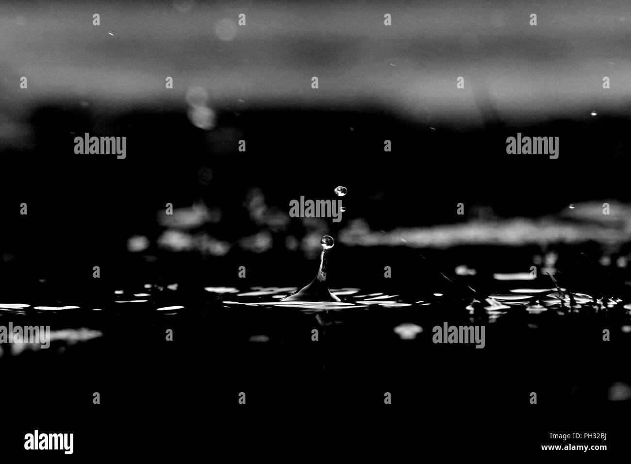 Raindrop in a puddle of water hi-res stock photography and images - Alamy