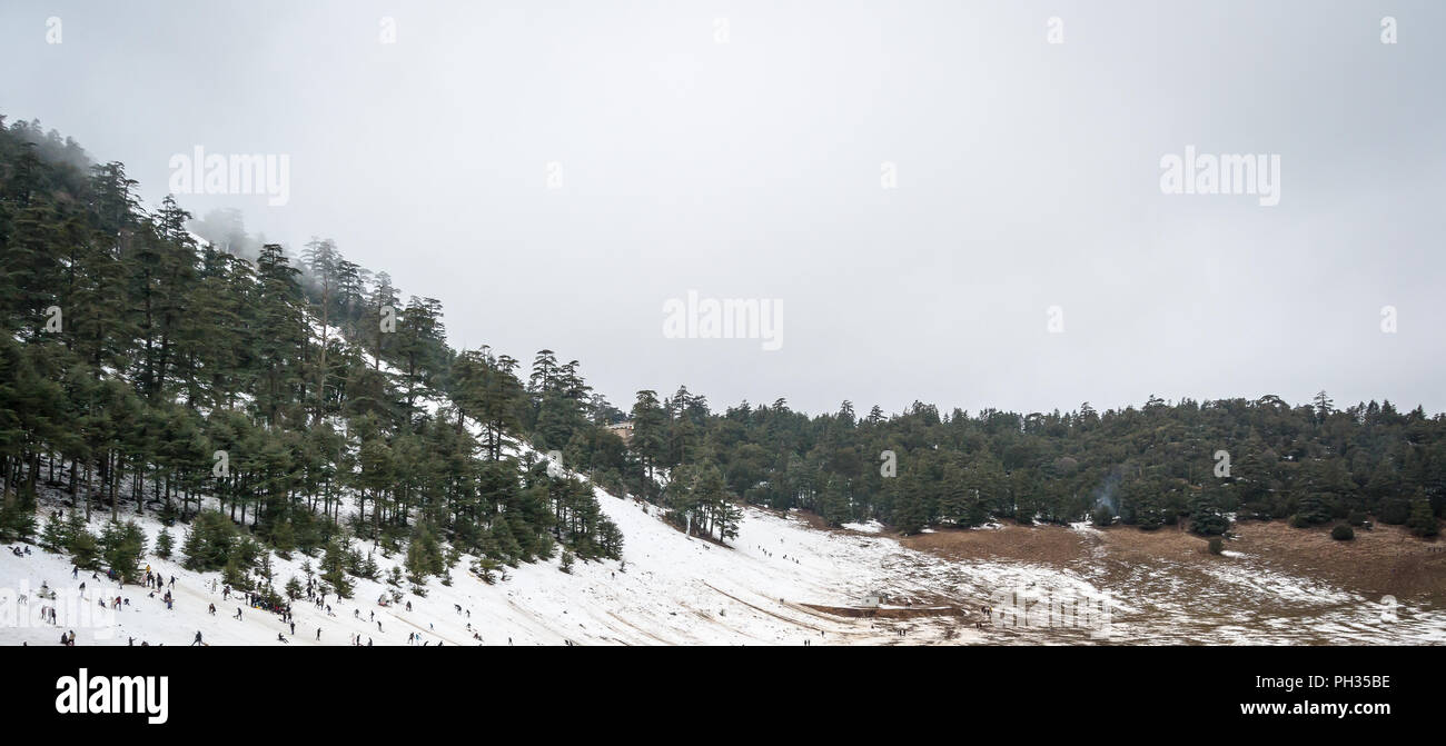 Ifrane morocco snow hi-res stock photography and images - Alamy
