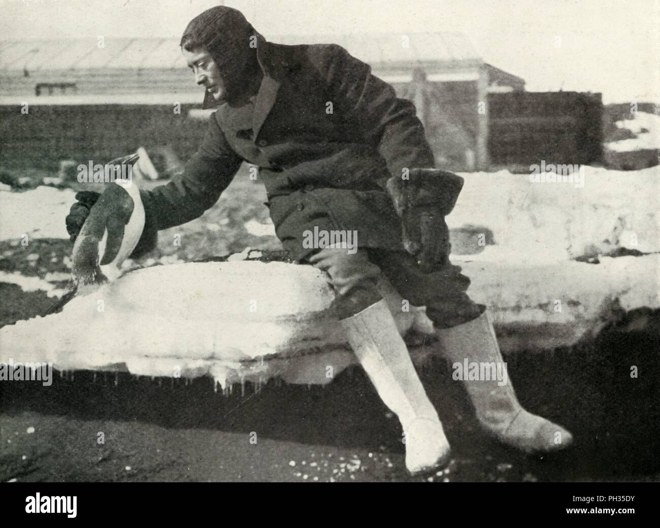 Penguin print dress hi-res stock photography and images - Alamy