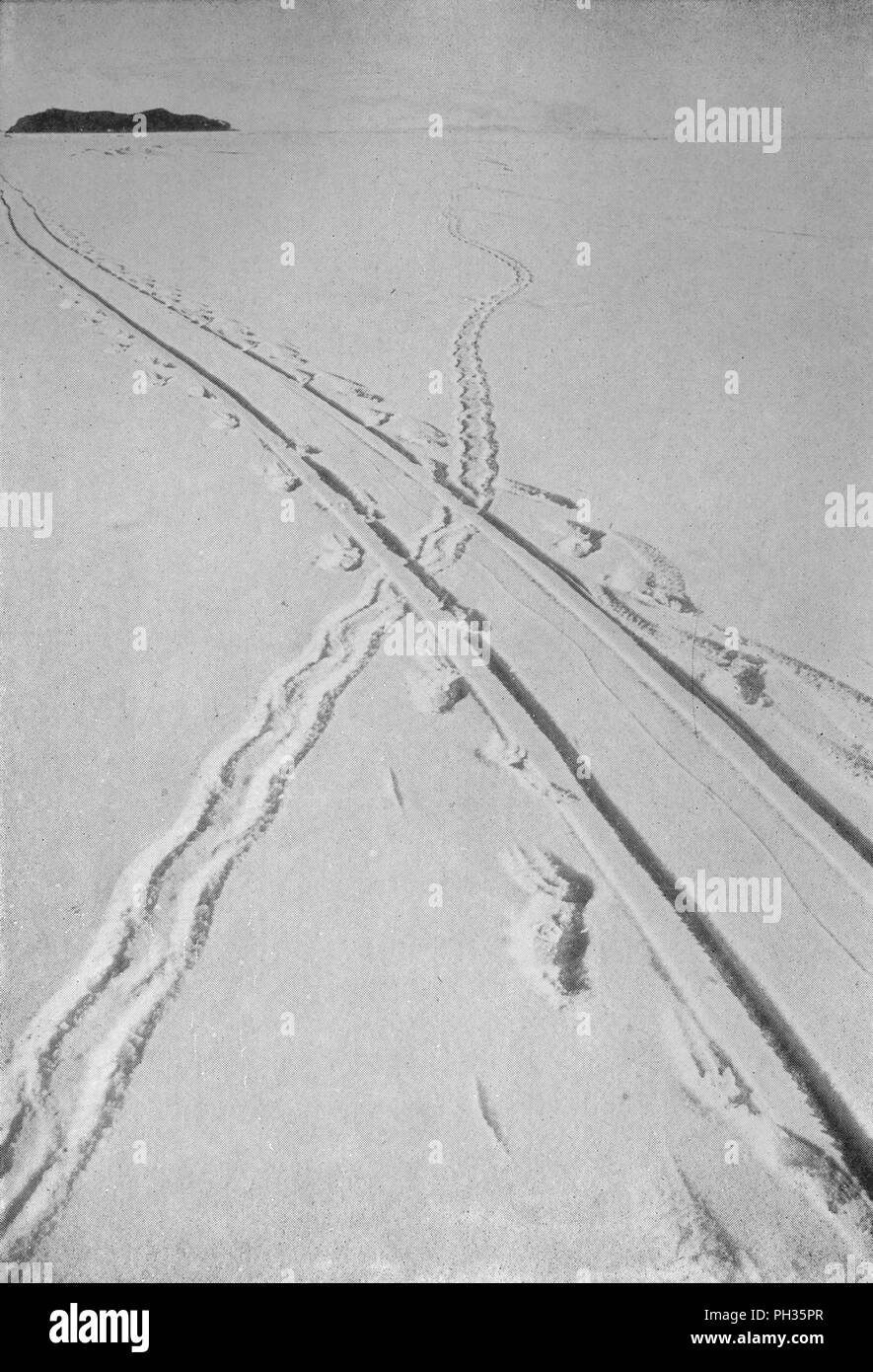 Robert falcon scott sledge hi-res stock photography and images - Alamy