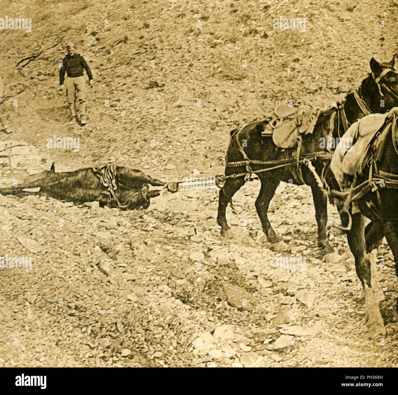 Battlefield clearing hi-res stock photography and images - Alamy