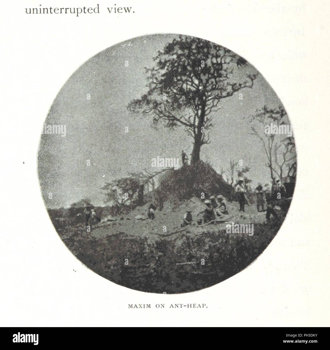 Matabeleland war hi-res stock photography and images - Alamy