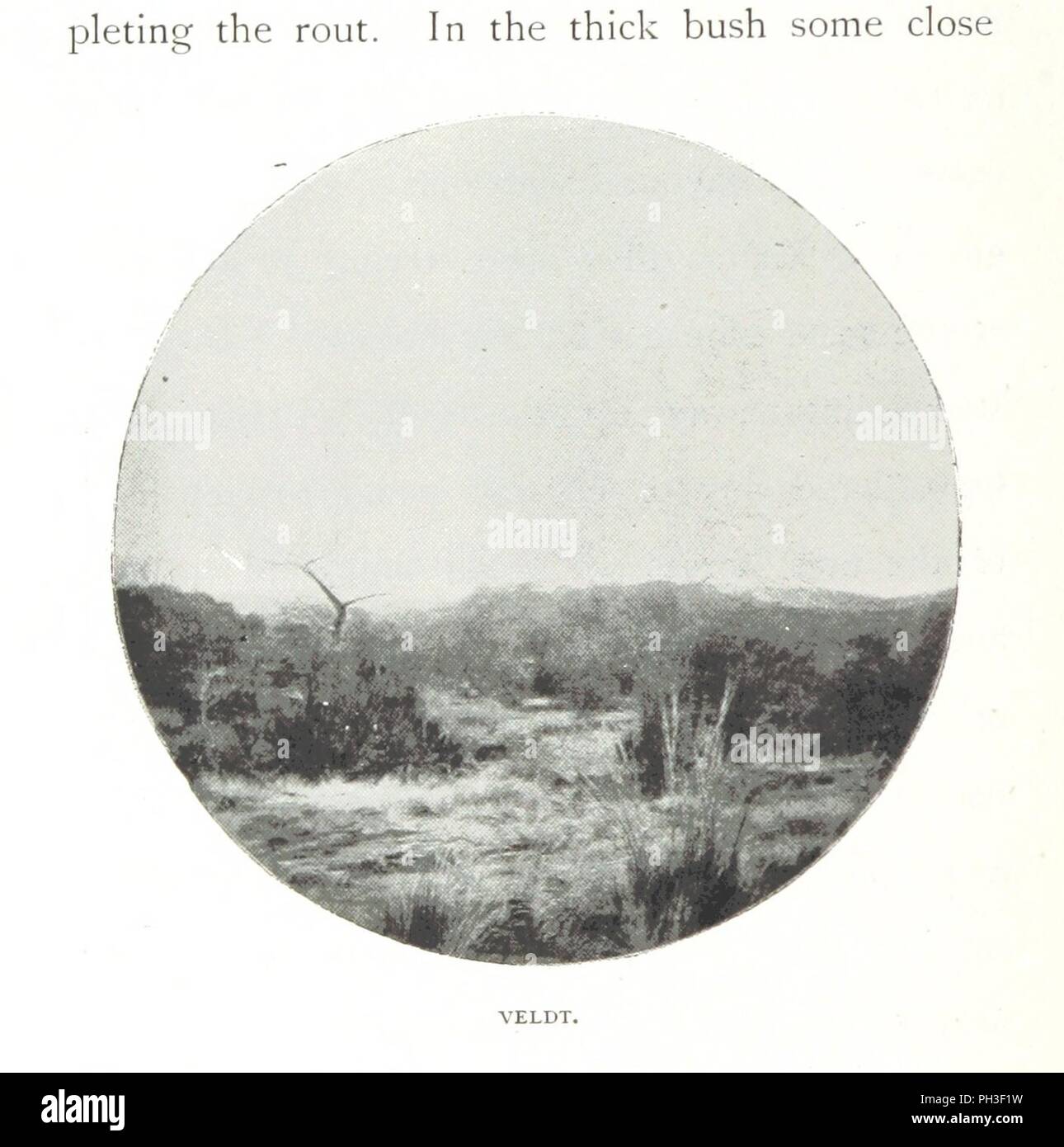 Image from page 284 of 'With Wilson in Matabeleland, or, Sport and War ...
