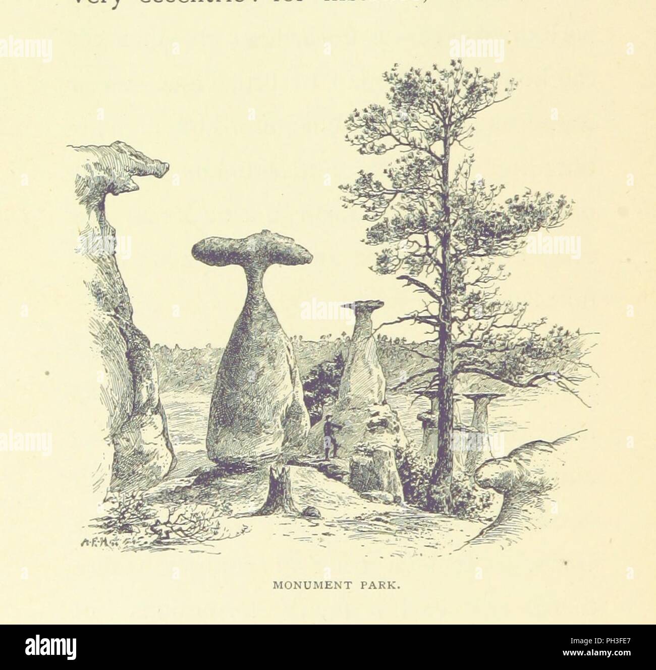 Image from page 294 of 'Glimpses of Four Continents letters written ...