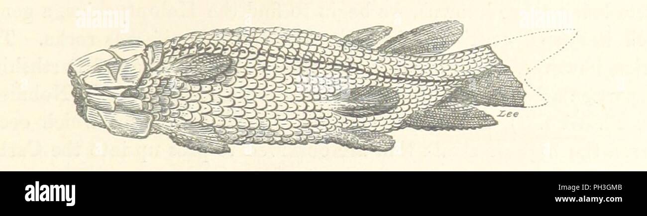 Siluria history oldest known rocks hi-res stock photography and images ...