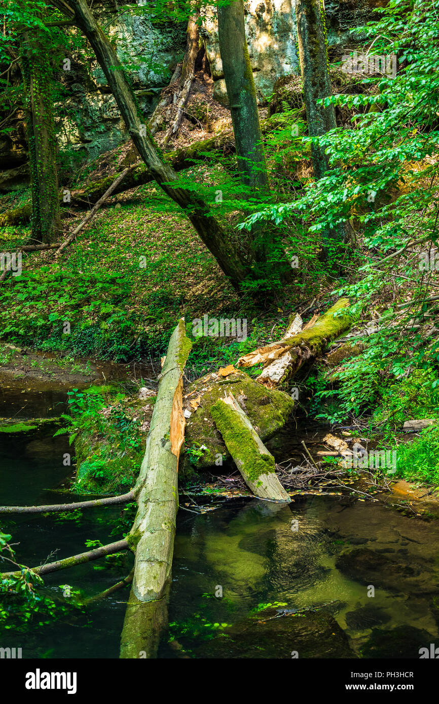 Broken log hi-res stock photography and images - Alamy