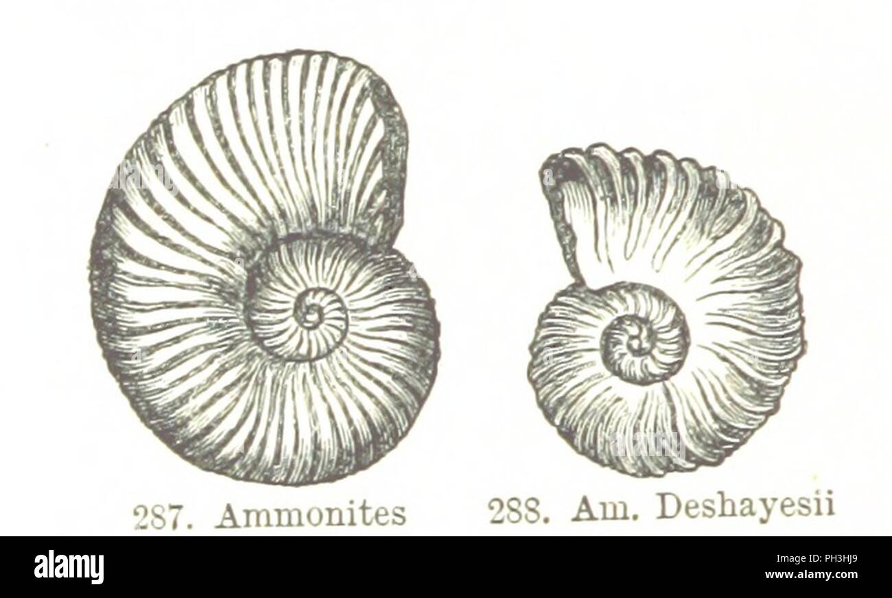 Second edition illustrated Cut Out Stock Images & Pictures - Alamy