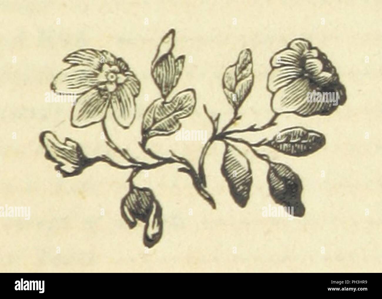 Robert southwell hi-res stock photography and images - Alamy