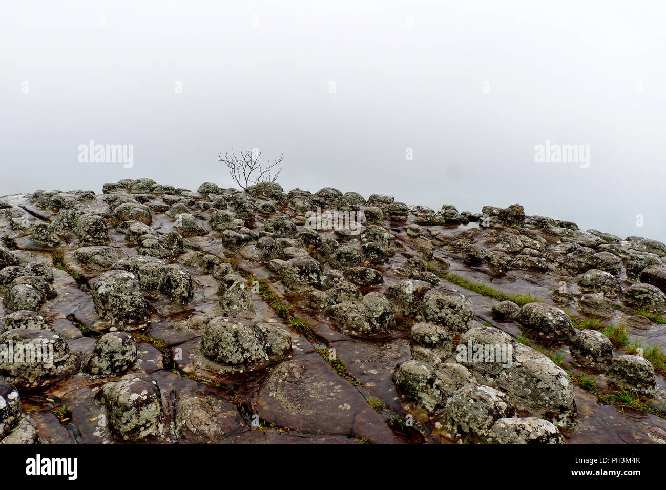 Lan Hin Pum Pum [Nodule Rock Field] At Phu Hin Rong Kla National Park ...