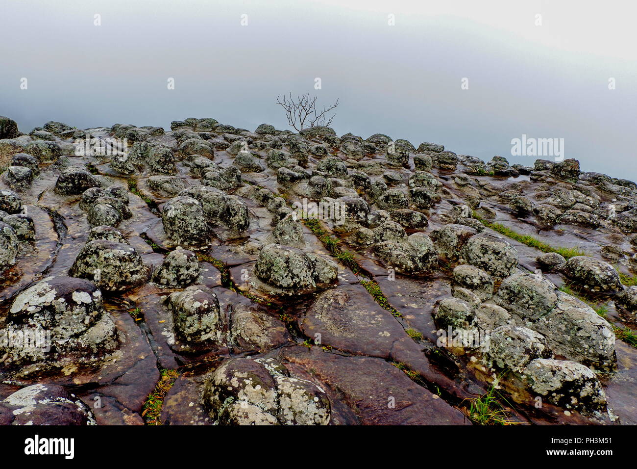 Lan Hin Pum Pum [Nodule Rock Field] At Phu Hin Rong Kla National Park ...