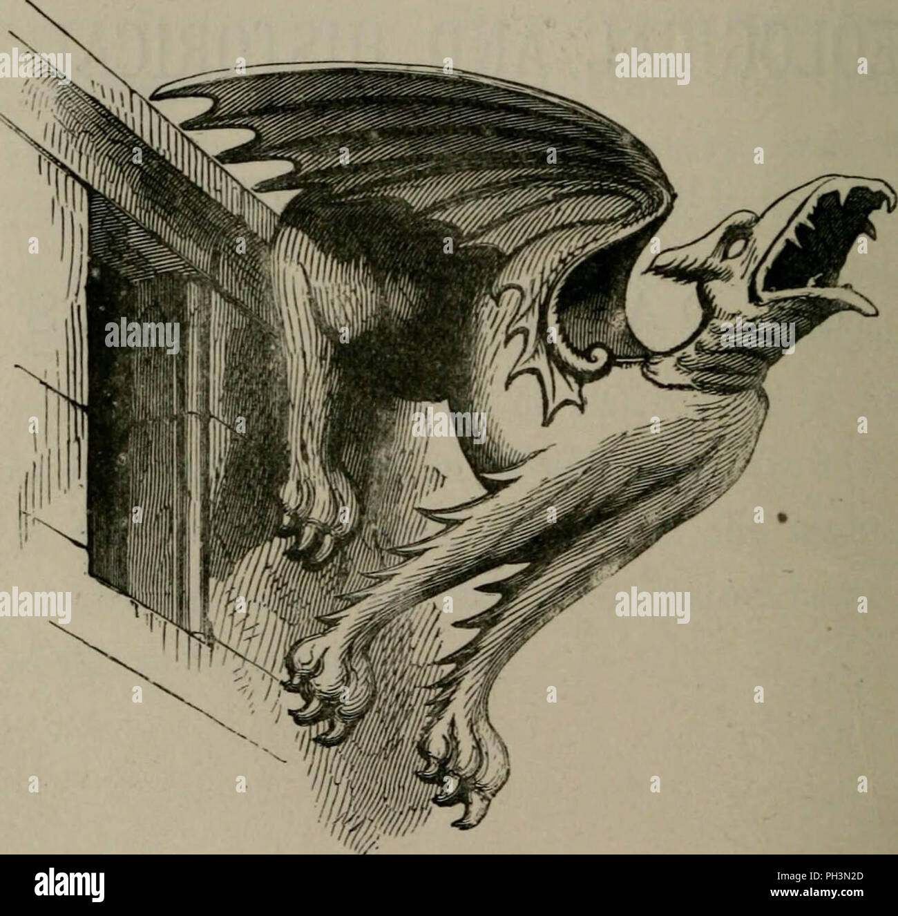 "Records of the clan and name of Fergusson, Ferguson and Fergus;" (1895 ...